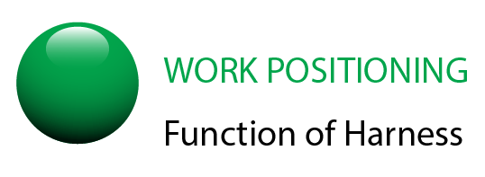 Rope Work Positioning Strap